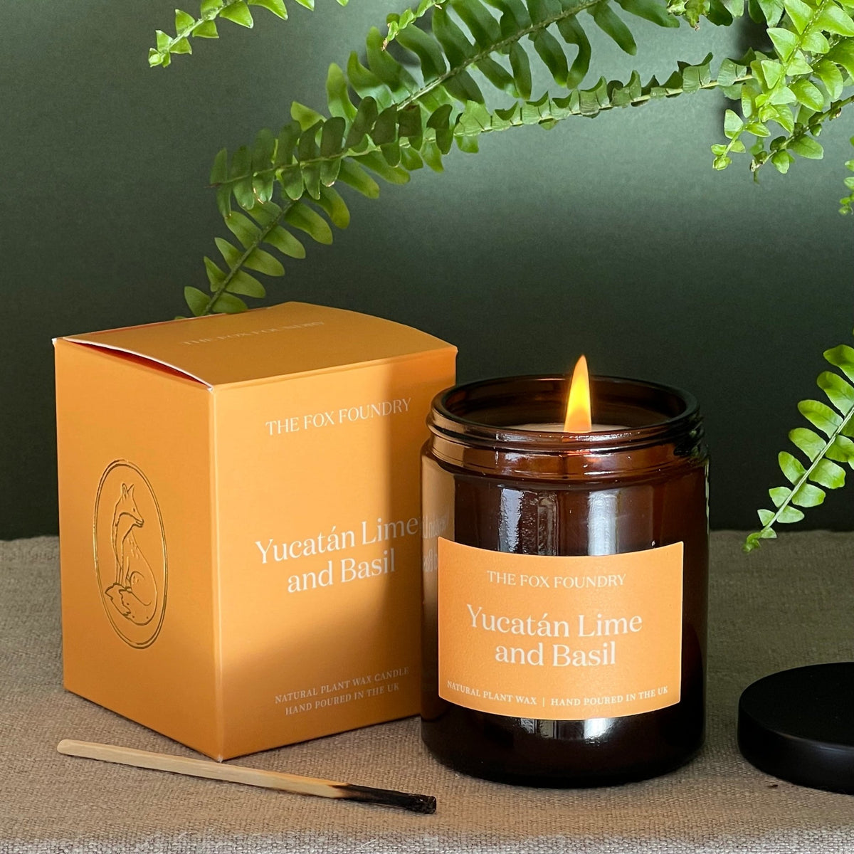 Apothecary Candle | Yucatán Lime & Basil