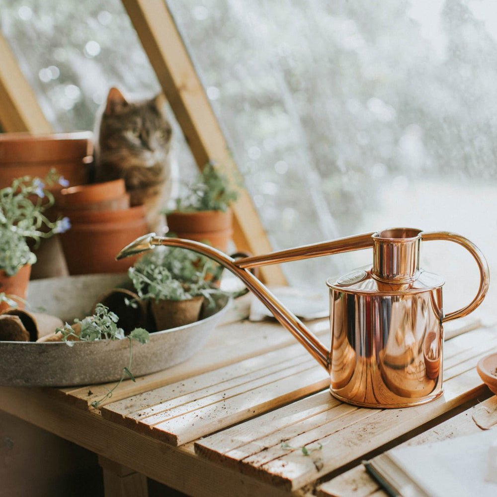 Haws Copper Watering Can & Brass Spritzer